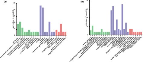 Go Terms Of Overlapped Differentially Expressed Genes A Up‐regulated