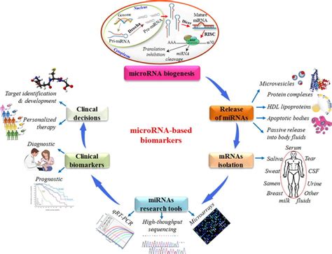 Emergence Of Exosomal Mirnas As A Diagnostic Biomarker For Alzheimers