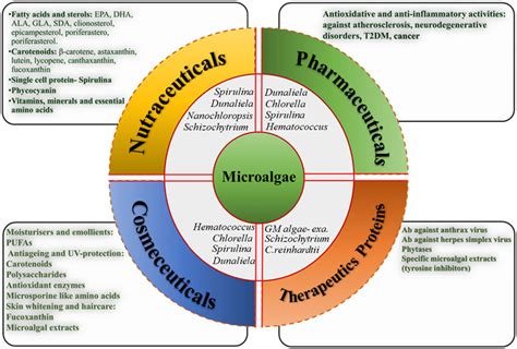 Examples Of Microalgae Their Active Ingredients And Applications
