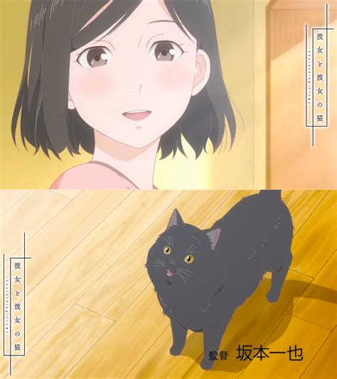 160229 2 「坂本一也」監督處女作！新海誠出道作改編動畫《彼女と彼女の猫 Everything Flows 》預告片公開
