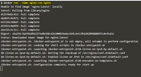 docker run command how run command works in docker examples