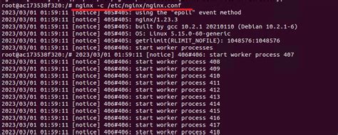 when i reloaded the nginx with acontainer i got the open var run