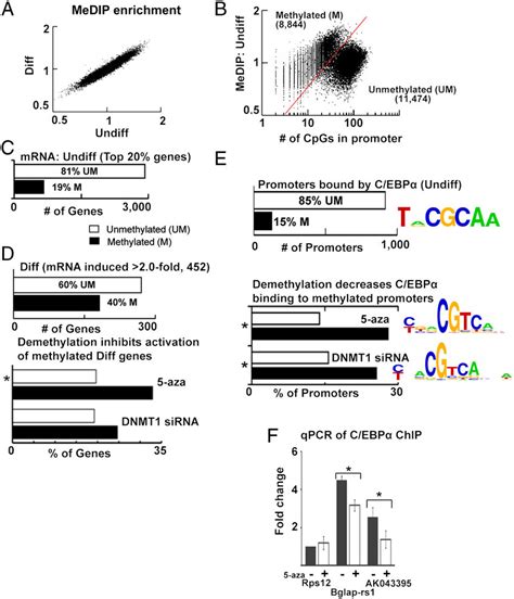 C Ebpα Binding Activates Methylated Promoters In Keratinocyte