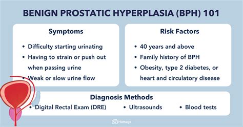 Benign Prostatic Hyperplasia Bph 101 Punca Gejala Rawatan Homage