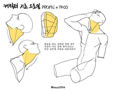 타코작가 On Twitter 드로잉 강좌 그리기 튜토리얼 인물 그리기 튜토리얼