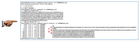 openssl generate rsa key pair c example browntwisted