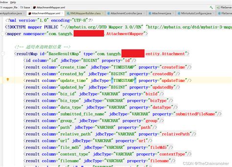 caused by org apache ibatis builder builderexception error resolving