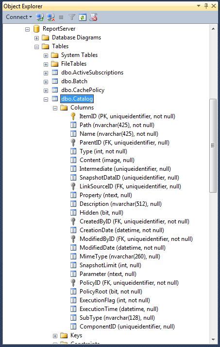 dynamic ssrs report documentation via a reportserver dbo catalog query