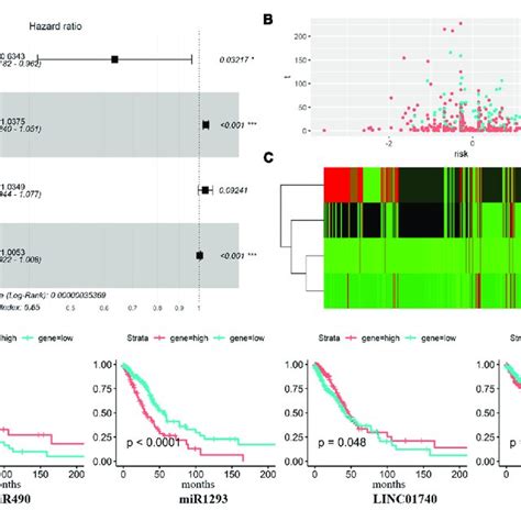 pdf characterization of lncrna associated cerna network to reveal