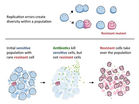 Antibiotic Resistance Old Genes New Problems Science In The News