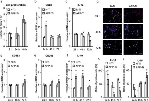 The Effect Of N Ti And App Ti On Hmps Polarization A Initial Cell
