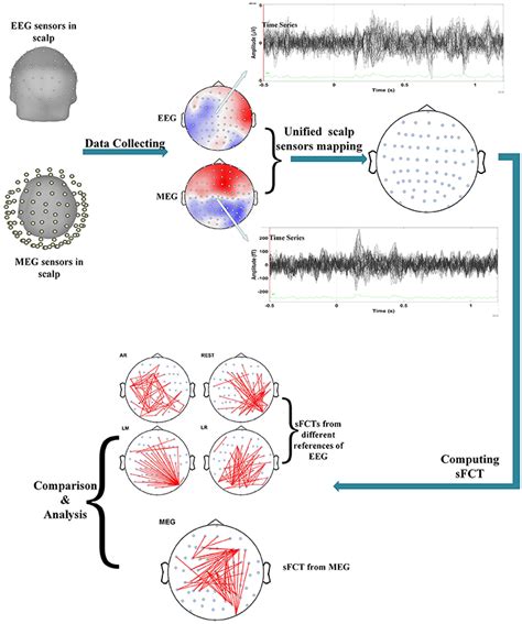 Frontiers Sensor Level Functional Connectivity Topography Comparison