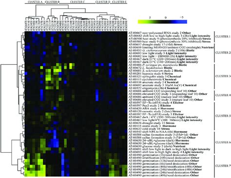 hierarchically clustered heatmap depicting dynamic adjustments in the