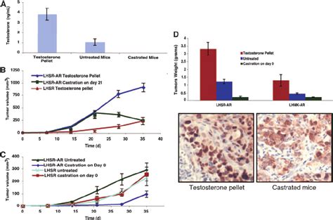 Effects Of Androgen Level Manipulation On The Behavior Of Prec Derived