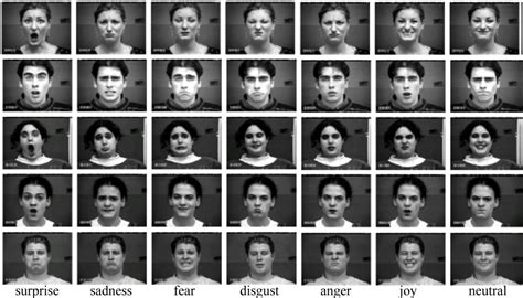 sensors free full text robust facial expression recognition via
