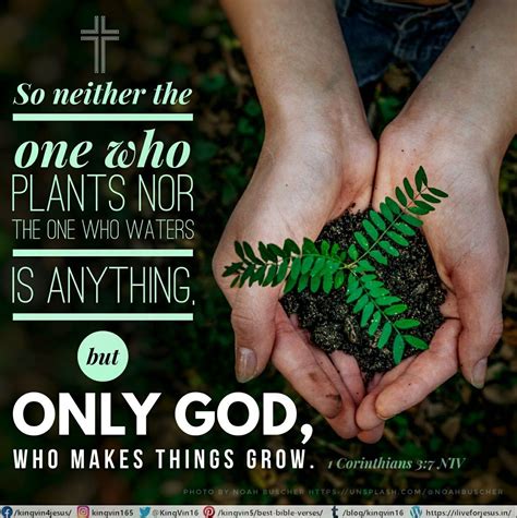 Only God Makes Things Grow Best Bible Verses Bible Truth Bible Verses