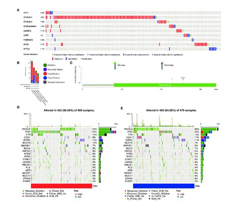 Genetic Alterations In Bc Patients A Mutation And Copy Number