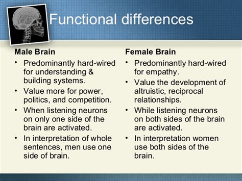 male and female brain what constitutes the gender