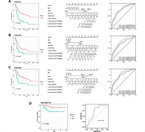 Nomogram Construction And Geo Dataset Validation A C The Left Panel