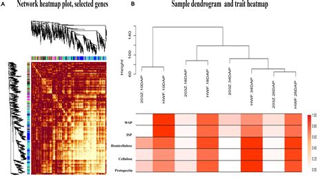 frontiers identification of key gene networks associated