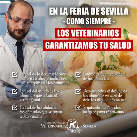 Una Campaña De Colegio De Sevilla Resalta El Papel De Los Veterinarios