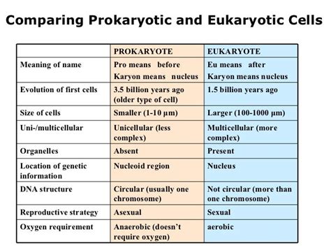 😊 Similarities And Differences Of Prokaryotic And Eukaryotic Cells The