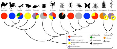 Ps372 Diversity Of Sex Determination Systems For Representative Plant