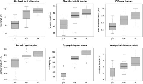 Overview Of The Measurements In The Juvenile Subadult And Adult Age