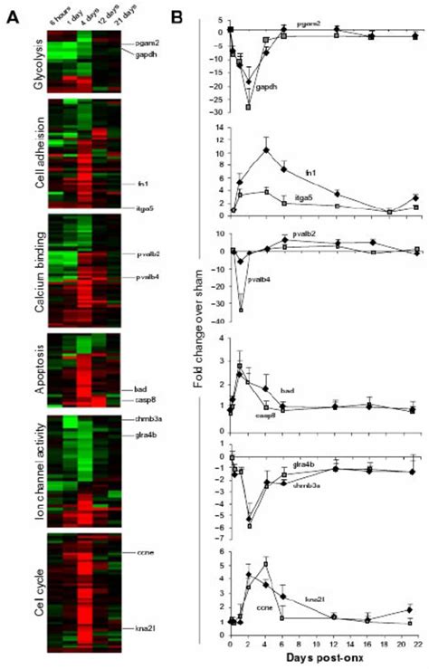 Cluster Analysis And Target Gene Expression Download Scientific Diagram