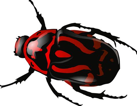 escarabajo de dibujos animados de vector de insecto volador vector png