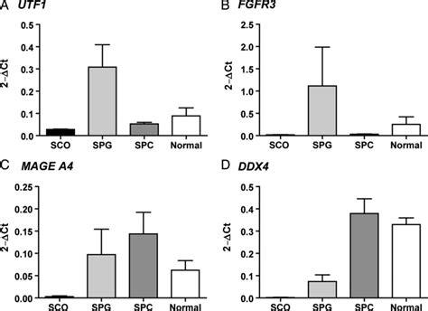 Relative Quantification Of Four Germ Cell Specific Marker Genes In