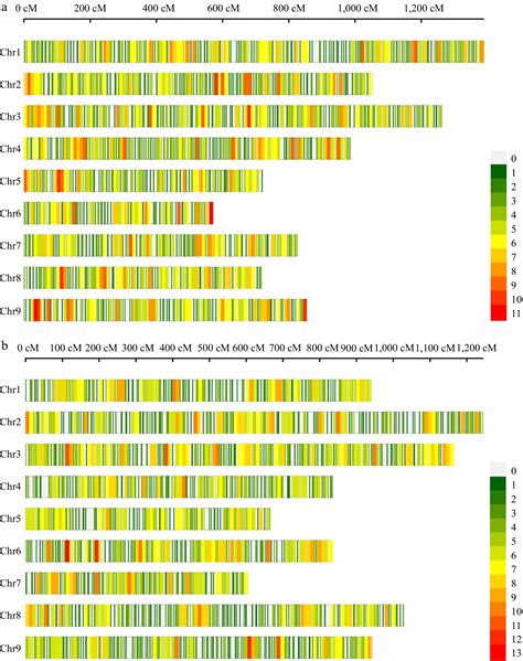 Qtl Analysis And Fine Mapping Of A Major Qtl And Identification Of
