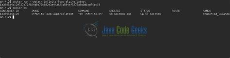 connect to docker container example java code geeks