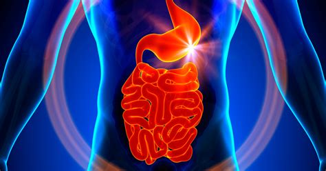 Câncer De Intestino Sintomas Tua Saúde