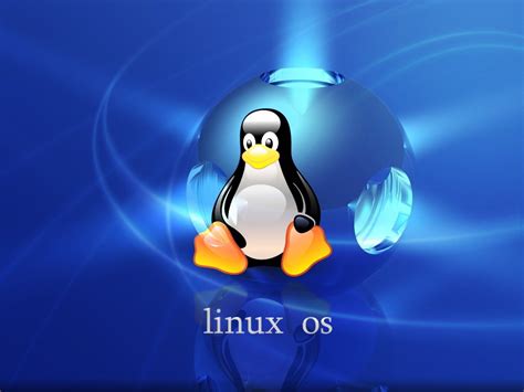 why linux is best operating system for hacking