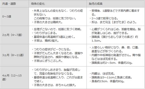 【妊娠の仕組み】妊娠の兆候～妊娠中の体の変化とは 生理用品のソフィ