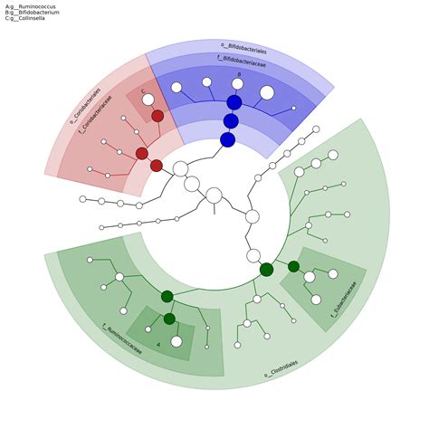 Whole Genome Shotgun Metagenomics Sequencing Data Analysis