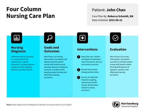 What Are The Parts Of A Nursing Care Plan Printable Templates Free