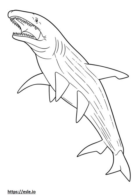 Basking Shark Cute Coloring Page