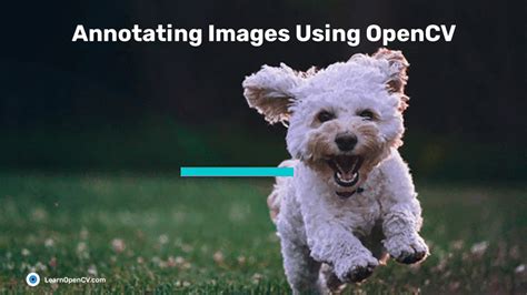 annotating images using opencv learnopencv