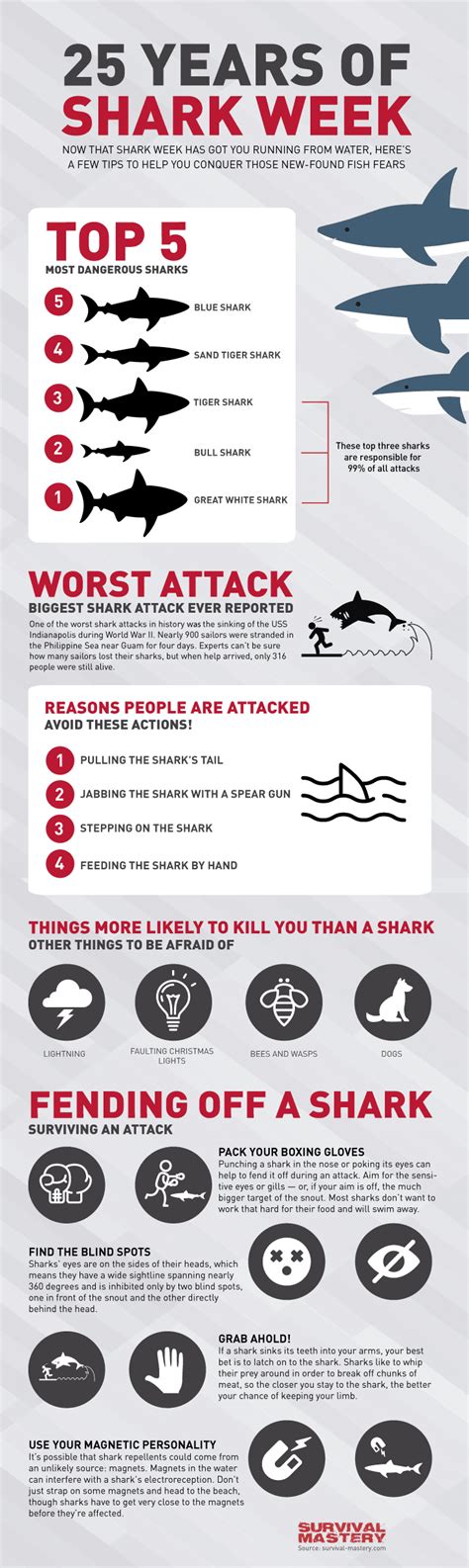 How To Survive A Shark Attack Peril In The Ocean