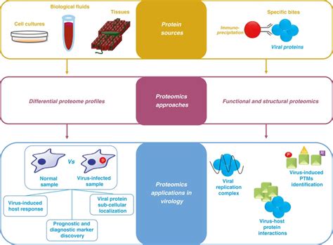 Proteomic Applications In Virology Research Differential Proteomics
