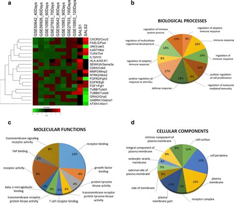 hierarchical clustering and go functional enrichment analysis of