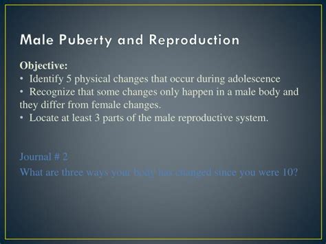 Ppt Male Puberty And Reproduction Powerpoint Presentation Free