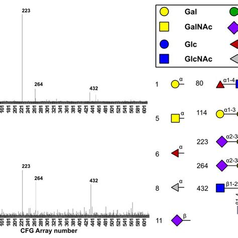 Glycan Array Assays For Rbma Top Binding Glycans Are Highlighted