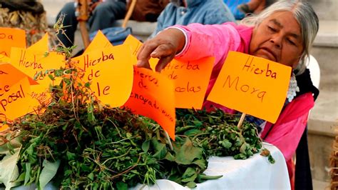 La Medicina Tradicional Herencia De Los Pueblos Mi Ciudad
