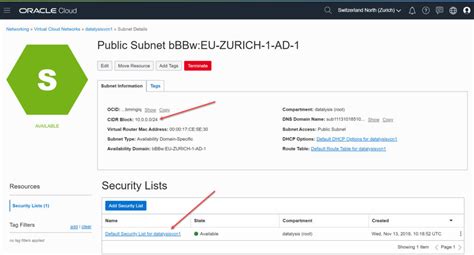 connect python to oracle dbaas database and the vcn