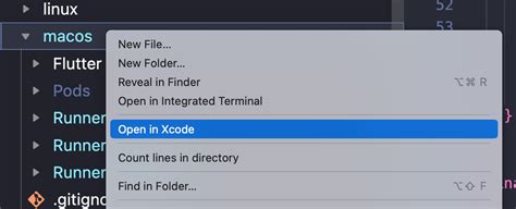 flutter and firebase auth on macos resolving common issues