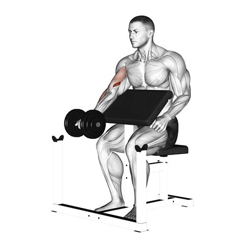 6 Best Pull Up Alternatives For Big Gains With Pictures Inspire Us