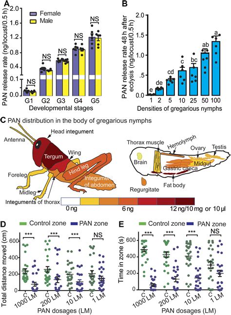 phenylacetonitrile in locusts facilitates an antipredator
